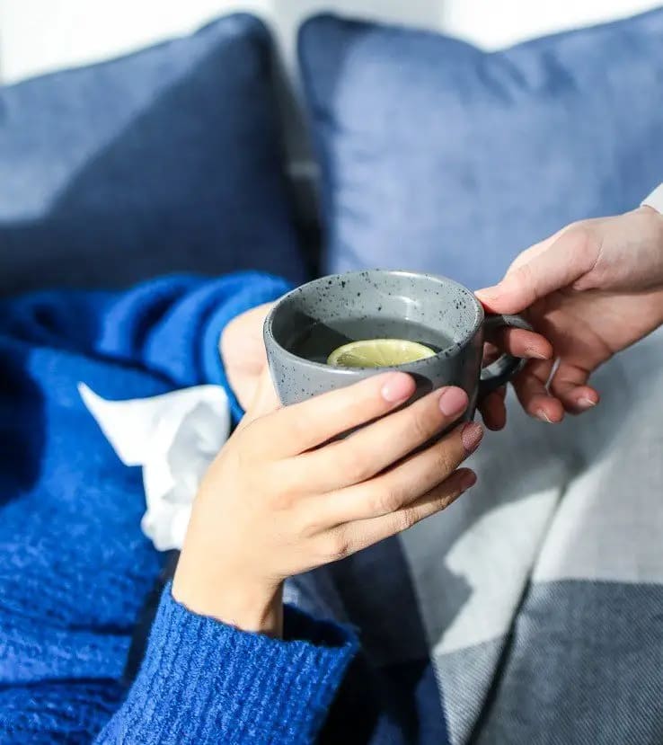 What Does A Nasal Mucus Plug Look Like - Family Home Guide